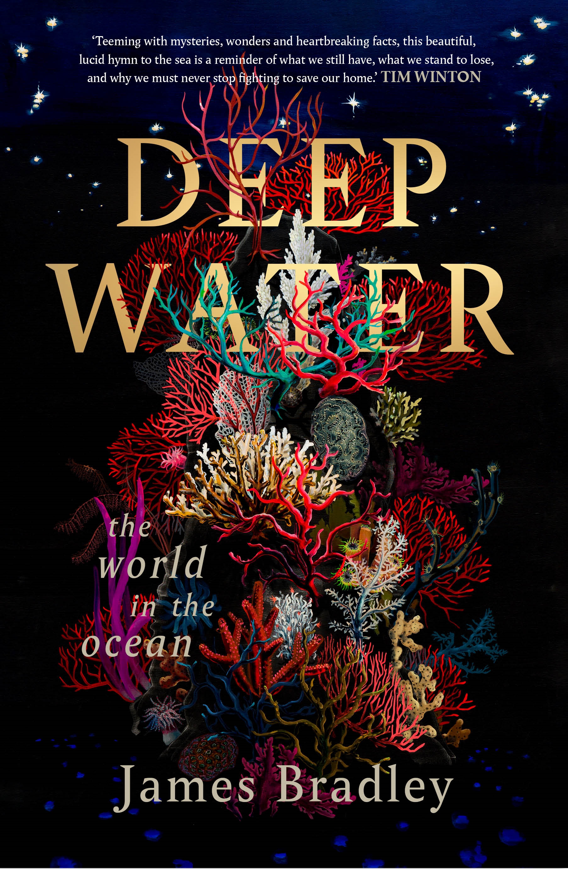 Deep Water: The World in the Ocean | city of tongues